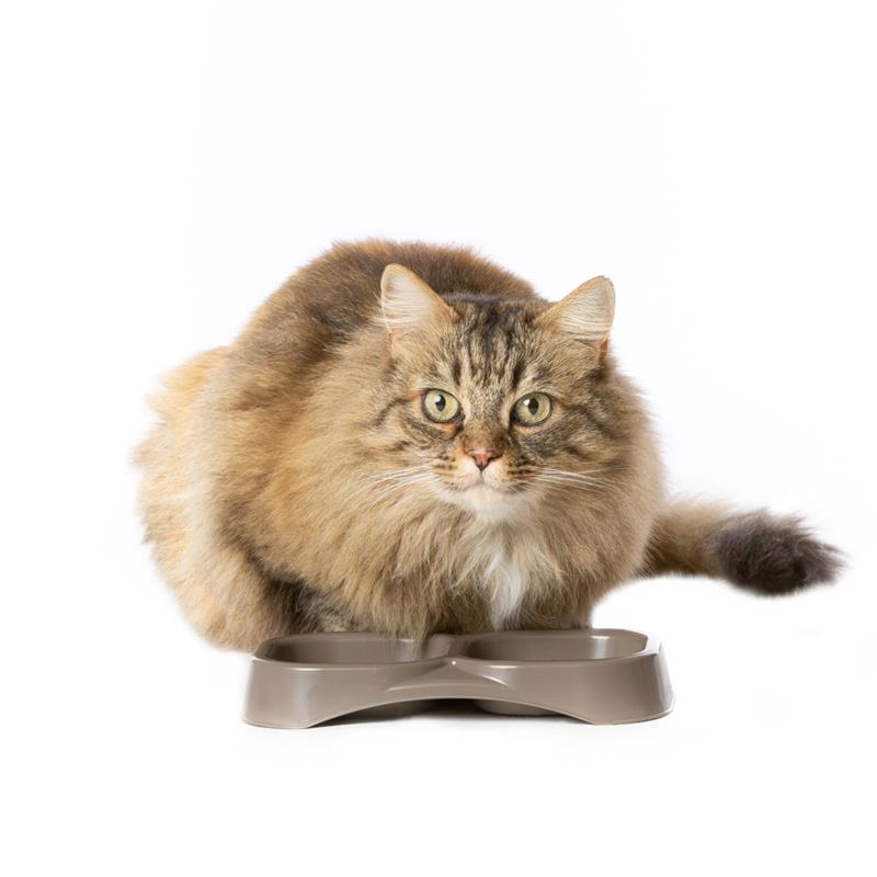 Bowls for dogs and cats Double , Bama Pet | BamaGroup